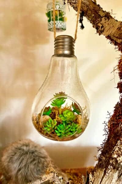 25 Simple Ways To Consume Less This Year | ThePlainSimpleLife